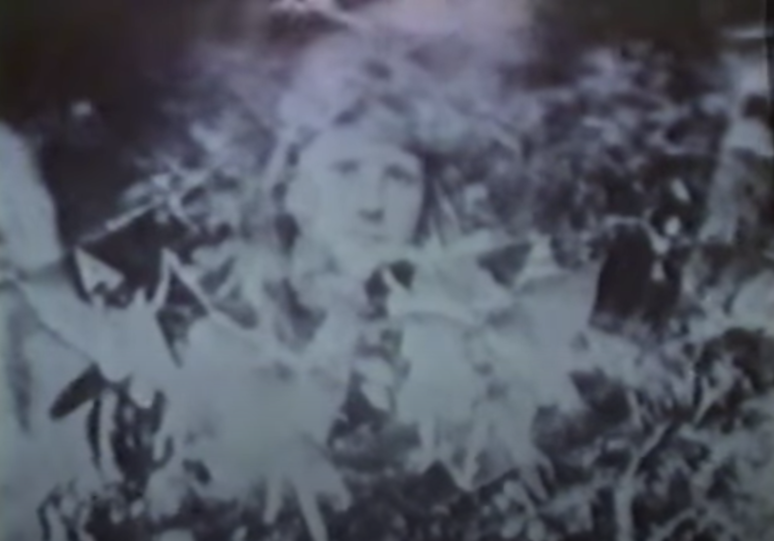 Cottingley Fairy Photos – Jimmy Akin